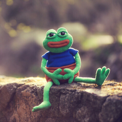 Hashtag Collectibles Pepe The Frog - The Official Plush Doll ...