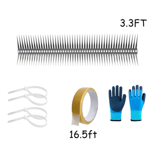 Spuntoni in acciaio inossidabile per piccioni e piccoli uccelli, adatti ...