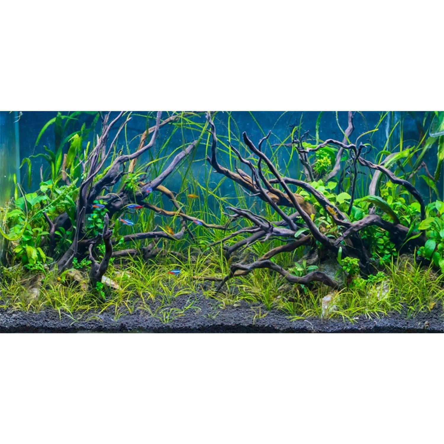 AWERT 48x18 pouces Fond d'aquarium de poissons tropicaux Lit de rivi re ...