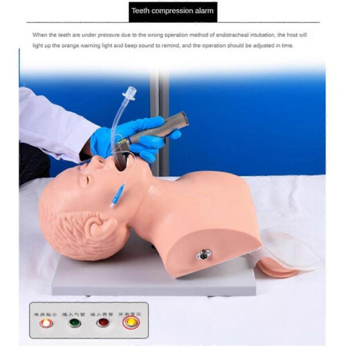 Intubation Model Teaching Model, 110V Adult Airway Management Trainer ...