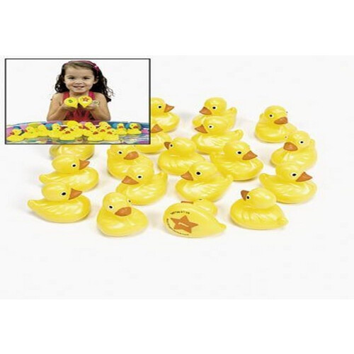 Duck Matching Game (set of 20 rubber duckies) Party Games on OnBuy
