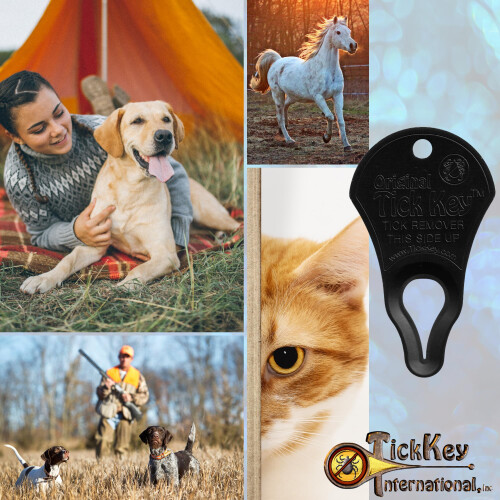 The Original Tick Key - Tick Detaching Device - Portable Safe and ...