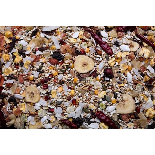 Johnston & Jeff 2kg Lean and Fit Parrot Food Mixed Aviary Bird Seed on ...