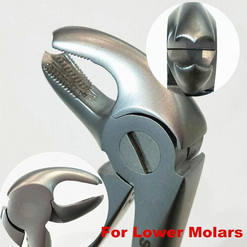 (1 piece G) 1 piece High Quality Dental Adult Tooth Extraction Forcep ...