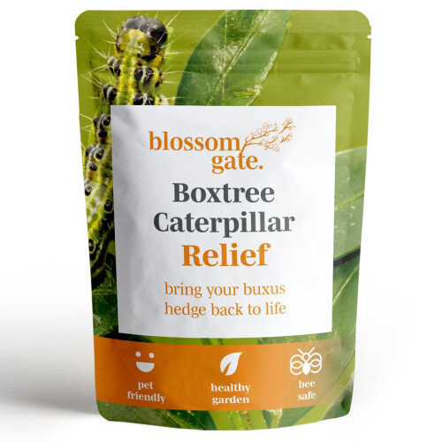 blossom gate. Box Tree Caterpillar Treatment, Stop Damage Fast, Safe ...