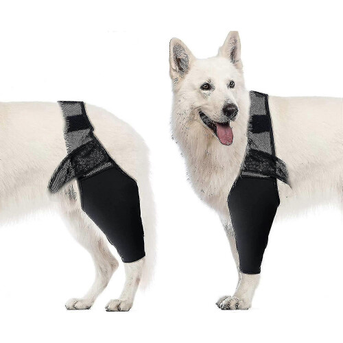 ((L), One size) Dog Elbow Brace, Dog Compression Knee Brace, Elbow And ...