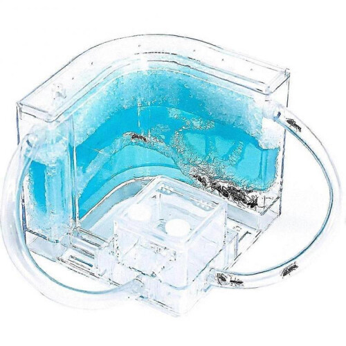 Ant Farm Castle Experiment Toy Ants Habitat Educational Toy Learning ...