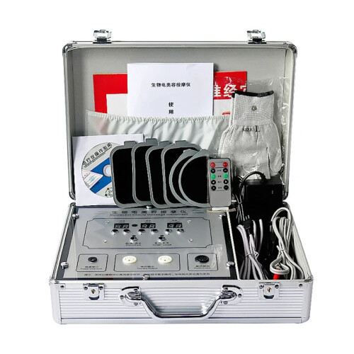 Bio Electric Meridian Massager: Multi-Functional Home Electrotherapy ...
