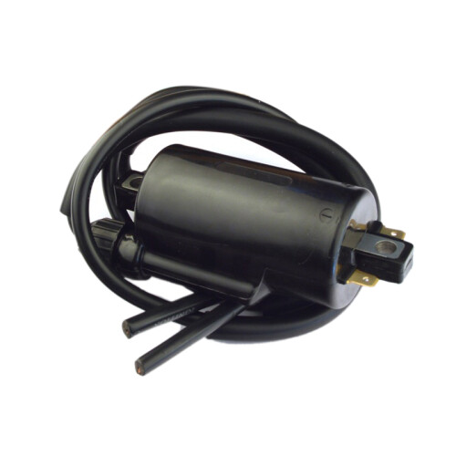 Ignition Coil for KZ1000 KZ1100 CB1000C CB1100F CB650 on OnBuy
