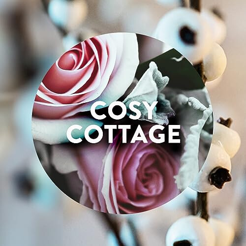 Air Wick Plug in Diffuser Kit, Cosy Cottage Roses & Snowberry, 1 Device ...