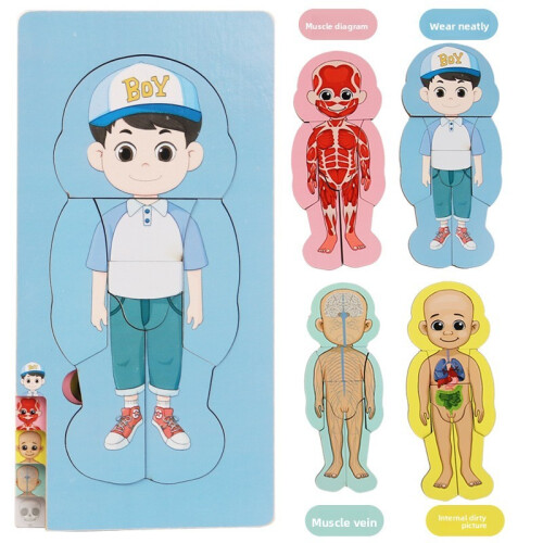 (StyleA) Body Organs Human Structure Jigsaw Puzzle Educational Toy ...