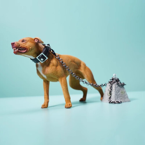 (Yellow ) 1/6 Scale Realistic Mold Model Set, Brown Pit Bull Chain ...