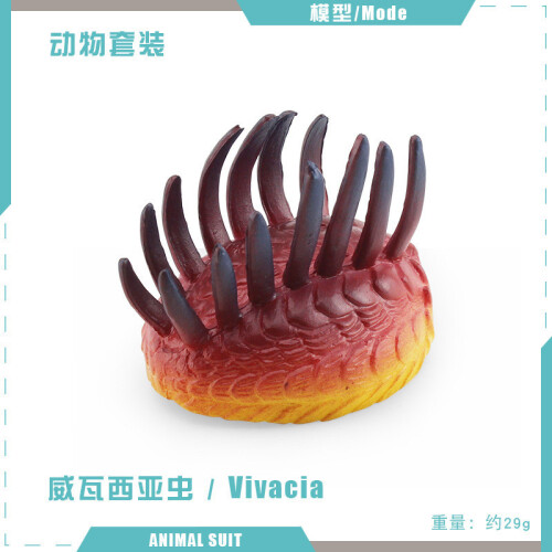(Wivasia 29g)Detailed Pvc Static Model Of Cambrian Sea Animals ...