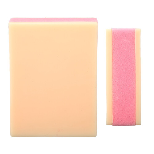 Modèle d'entraînement à la suture 2 - Plaque de couches de peau en ...