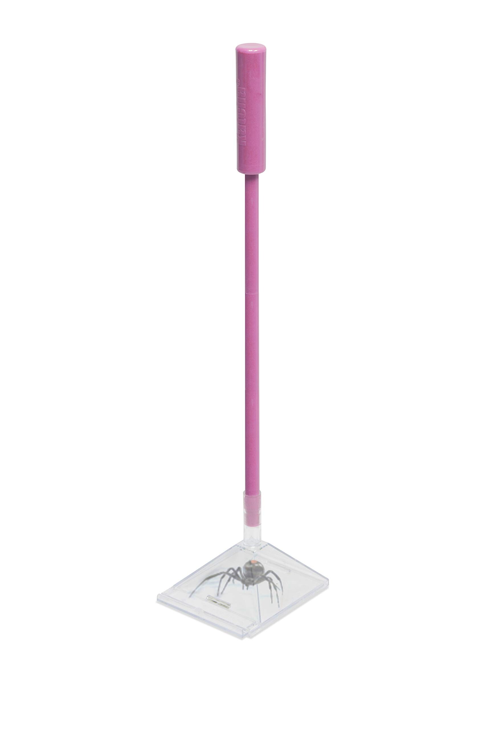 Katcha? Bug Spider Catcher - Limited Edition PINK - Trap and catch ...
