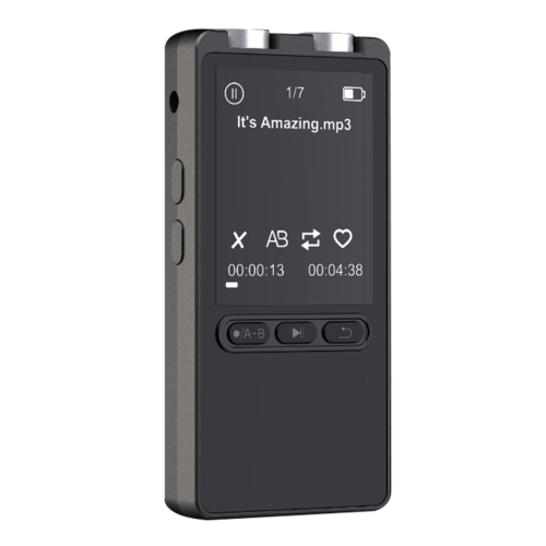 Professional Dictaphone Voice-Activated Mini Digital Sound Recorder on ...