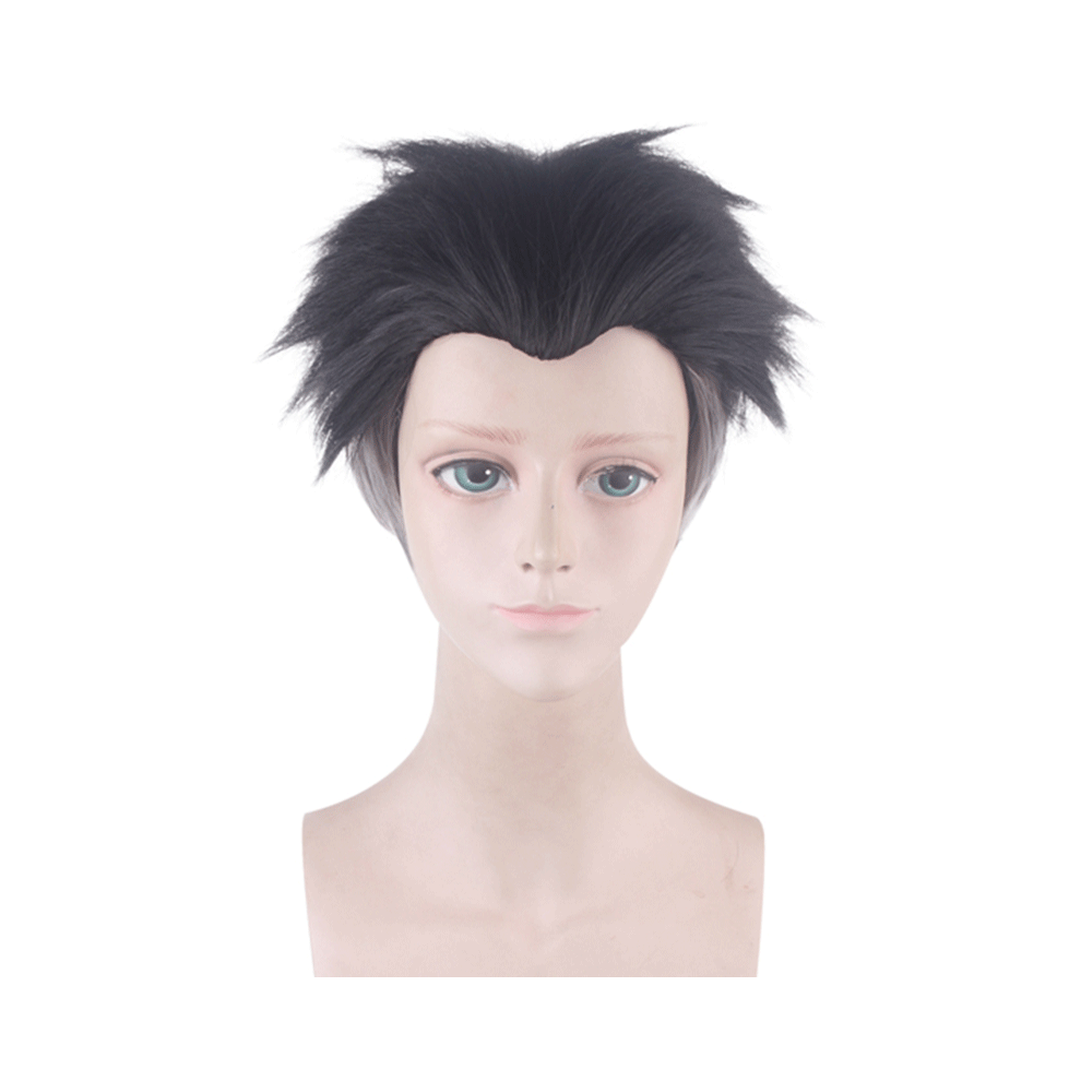 (Gyoumei Himejima Wig Only, One Size) Kimetsu Slayer Demon No Yaiba ...