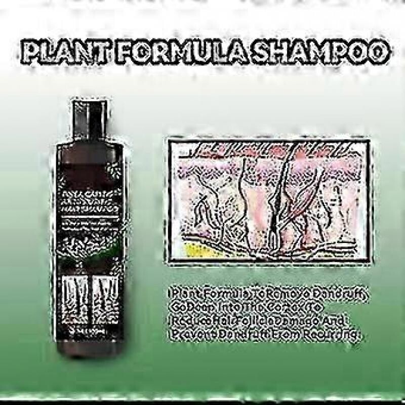 2025 Anti-itch Shampoo for Scalp Tinea Capitis To Dandruff And Relieve ...