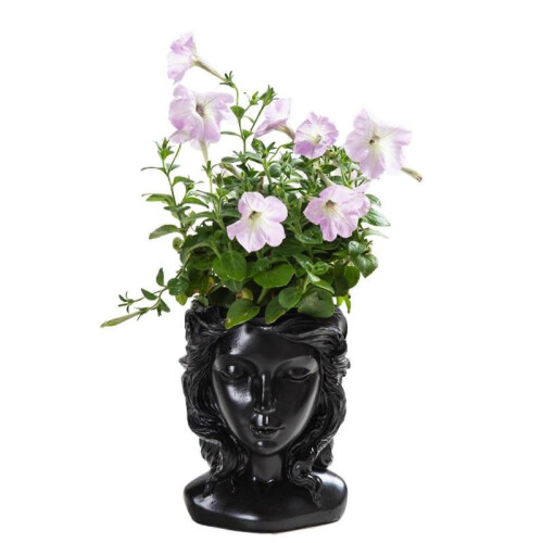 (black) Resin Succulent Planter with Innovative Face Shape Resin Flower ...