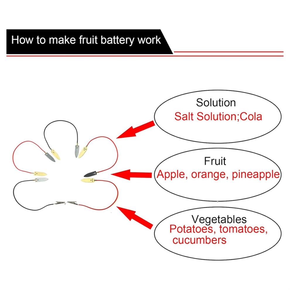 Kit de experimentos científicos con batería de frutas, reloj ...