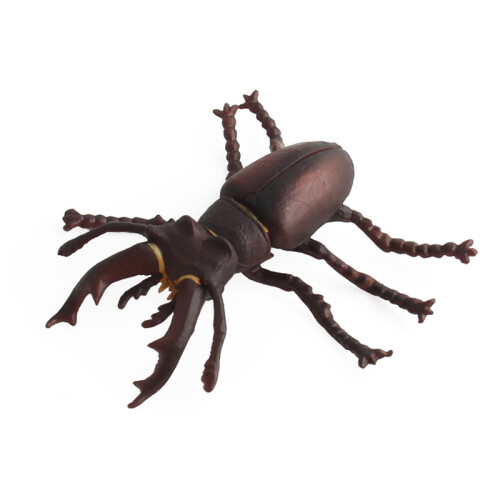 (Shovel Armor) Animal Scientific Realistic Insect Bees Spiders Pvc ...