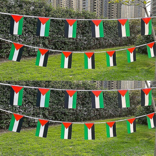 Lote de 20 banderas palestinas de 14 x 21 cm, banderines de Palestina ...