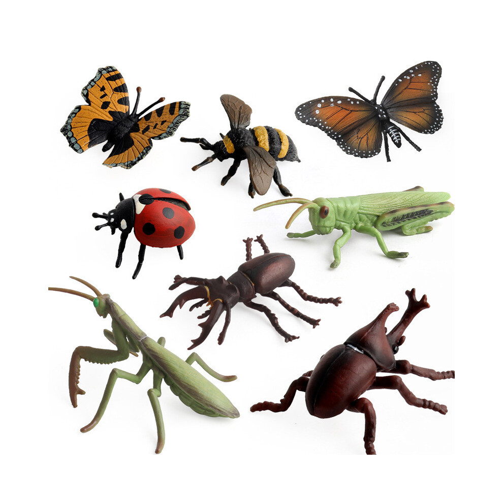(Set) Scientific Animal Realistic Insect Bees Spiders Pvc Model ...