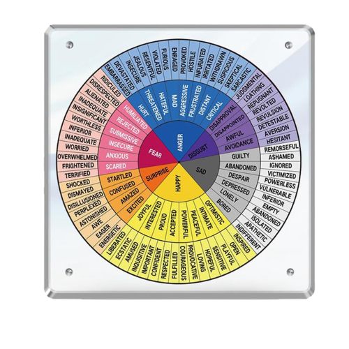 Feelings Wheel & Needs Wheels Emotions Wheel Mental Health Tool on OnBuy