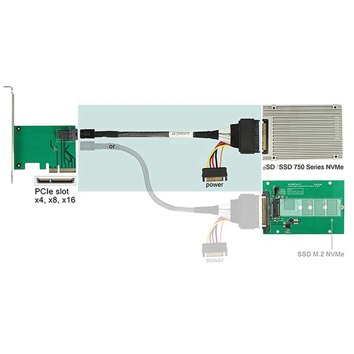 Built-in 12G Mini SAS HD to U.2 / SFF-8643 to SFF-8639 Cable 0.5M on OnBuy