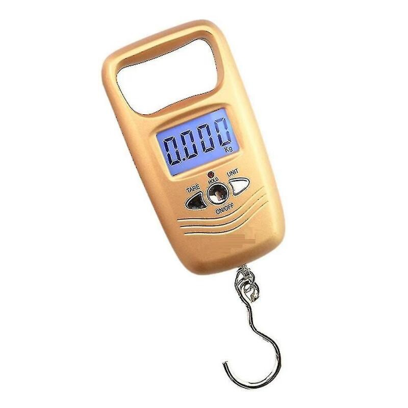 Lcd Digital Mini Hanging Scale Pocket Portable 50kg Fishing Hook Scale ...
