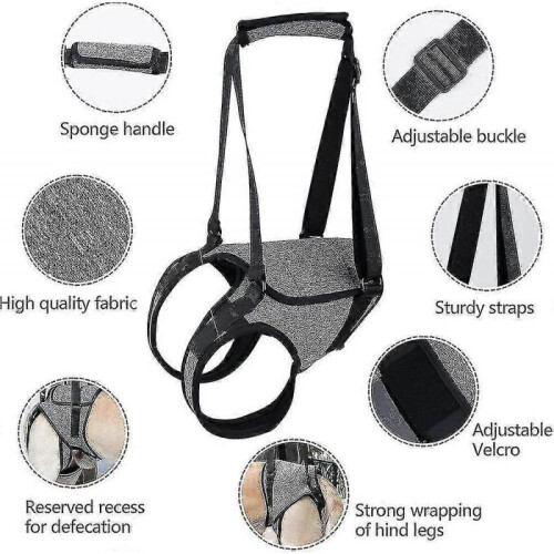 (L) Dog Sling For Large Dogs Hind Leg Support To Help Rehabilitate The ...