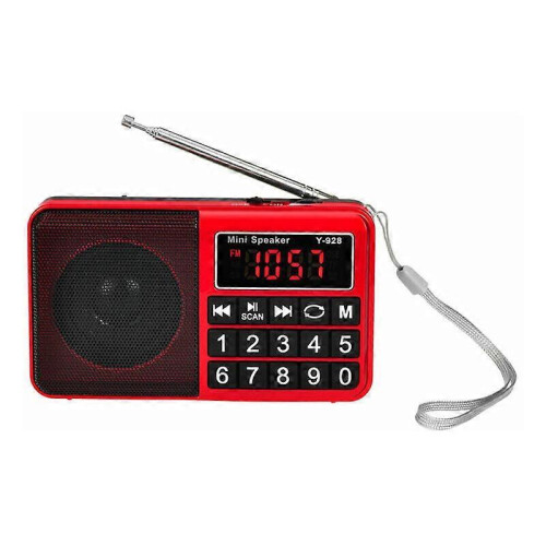 FM/AM(MW)/SW/USB/Micro-SD/MP3 Portable Radio, Radio Station with Big ...