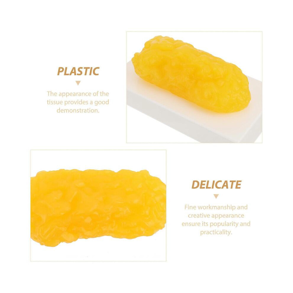 Human Body Fat Replica 1 Pound Fat Model Fat Anatomical Fat Model for ...