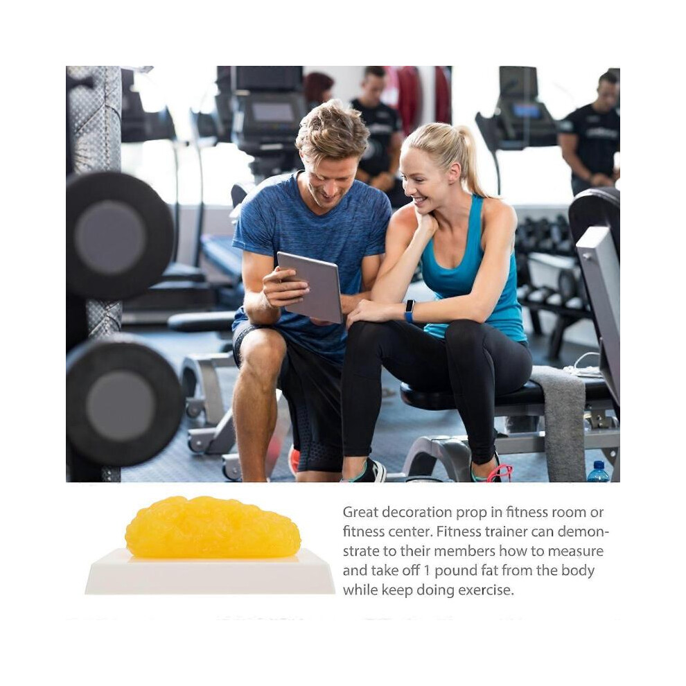 Human Body Fat Replica 1 Pound Fat Model Fat Anatomical Fat Model for ...