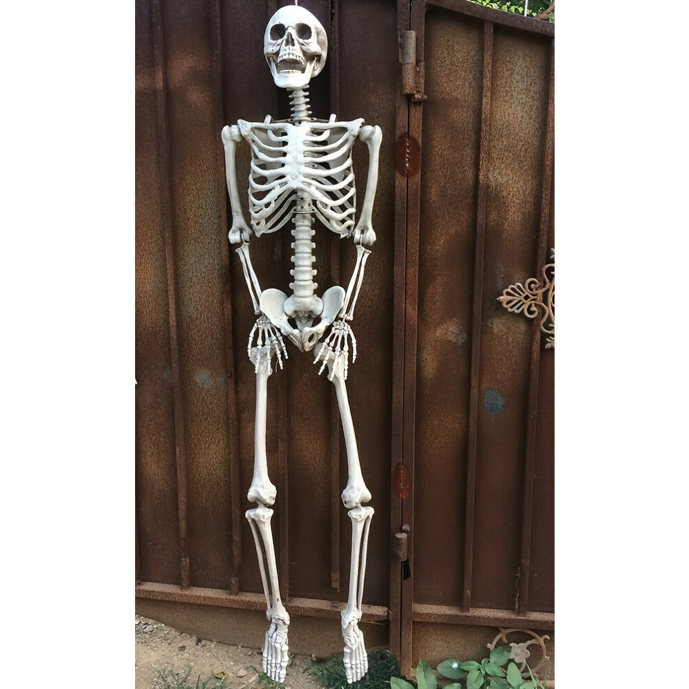 (1pc) 170cm 1:1 Life Size Oversized Movable Human Skeleton Model ...