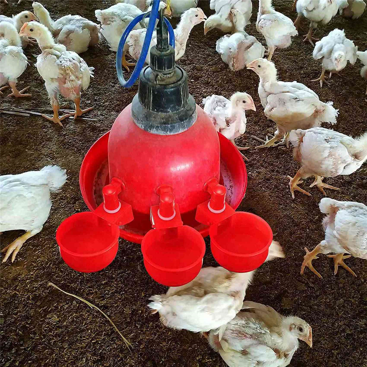 240 bebederos automáticos para pollos y aves de corral on OnBuy