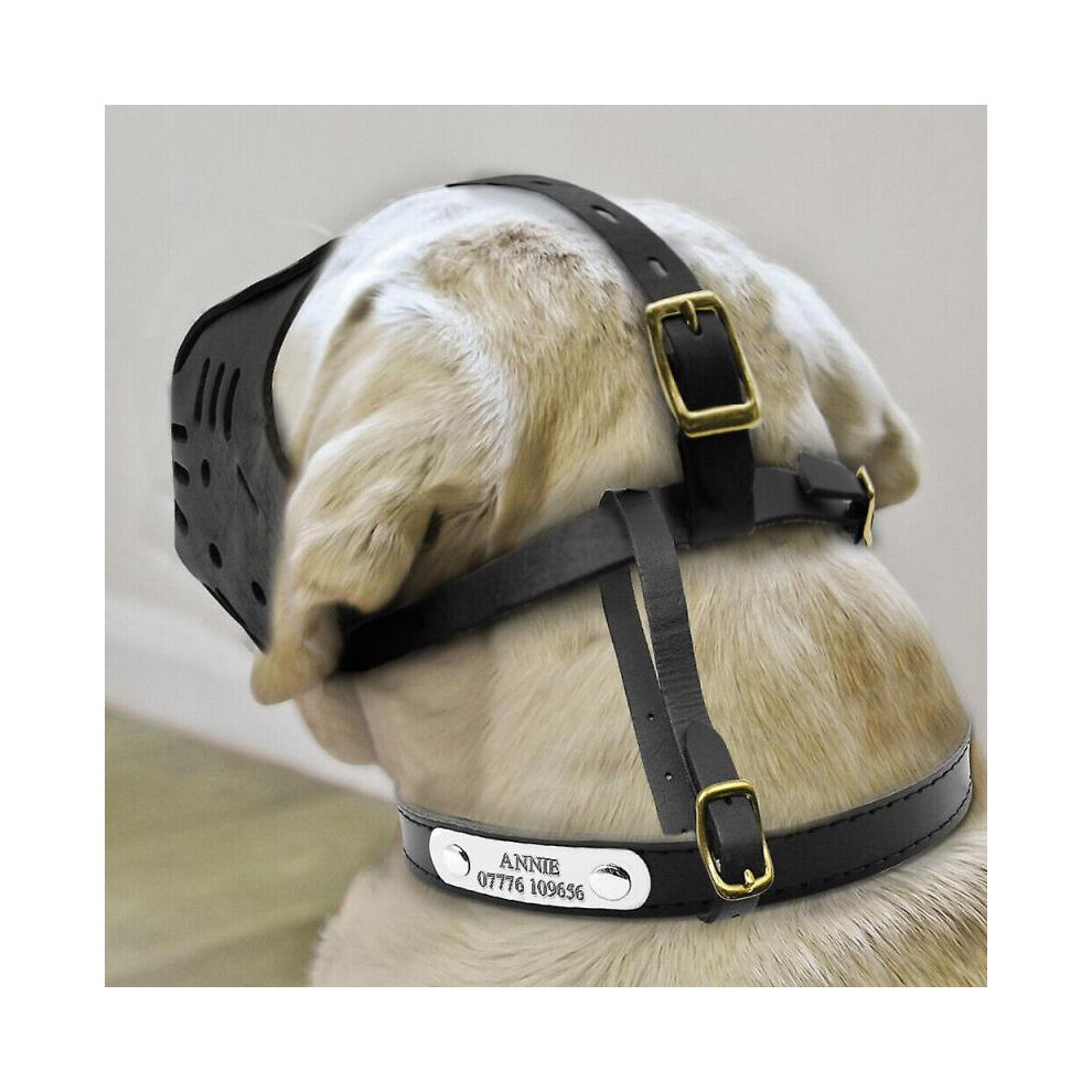(Black) Leather Pitbull Dog Muzzle Doberman German Shepherd Secure ...