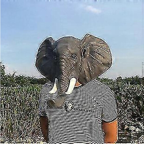 Halloween Animal Head Elephant Mask African Elephant Asian Elephant ...