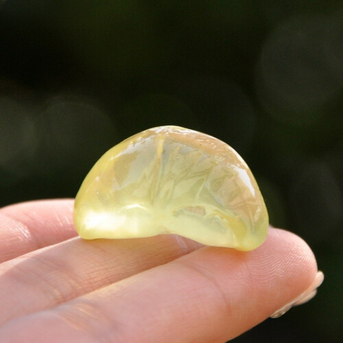 (Durian) Realistic Resin Fruit Action Figures Model Toys For ...