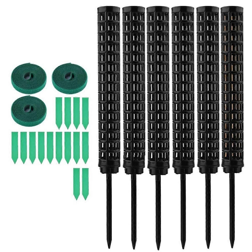 Monstera Trellis, Moss Stick, 6 Pieces Plant Stake, Indoor Plants ...