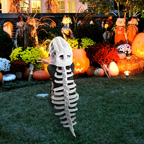 ((Gray) 116cm) Realistic Dinosaur Costume with Spine Skeleton Headpiece ...