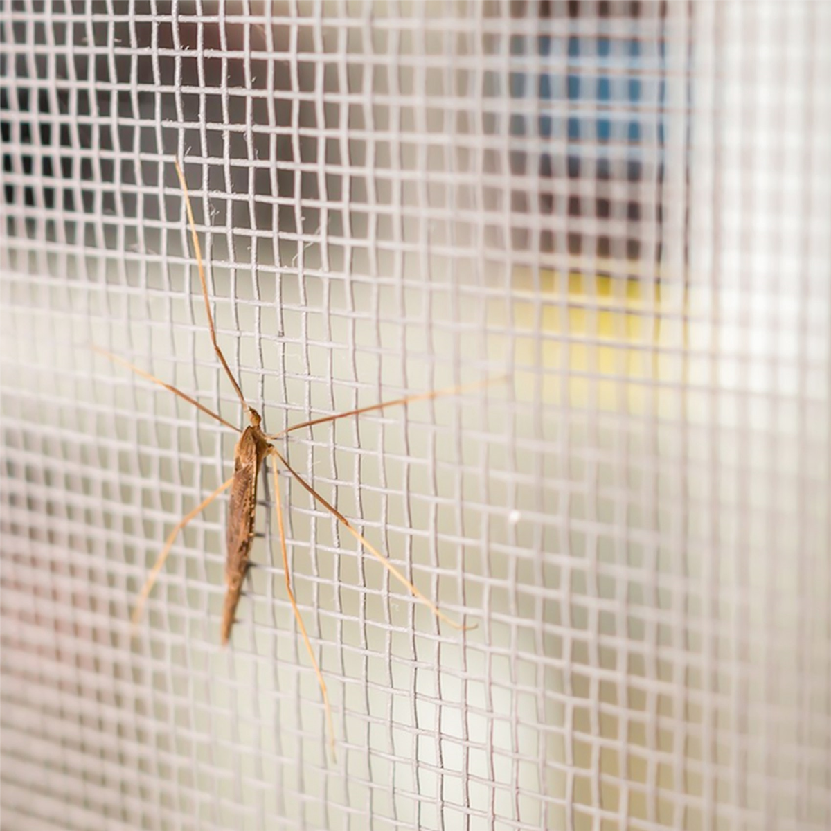 Mesh Sheet, 4 Packs Wire Panels 20 Mesh, Mouse Rodent Insect for Vents ...