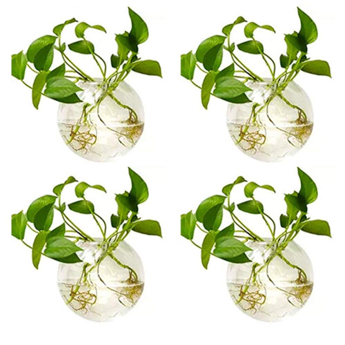 NUPTIO 4 Pcs Wall Hanging Glass Planters 10cm Diameter Round Glass ...