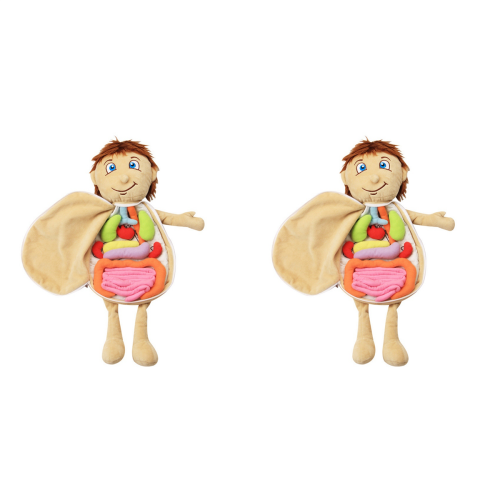 2X Kids Assembled Plush Body Organs Toy Human Anatomy Doll Science ...