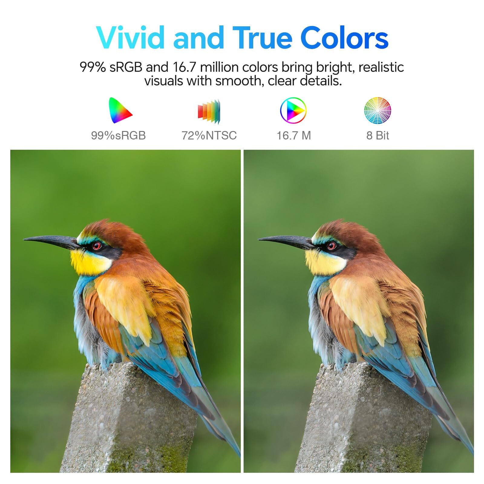 KOORUI E2412F 24 Inch FHD Monitor, Gaming 100Hz, VA Computer Monitors ...