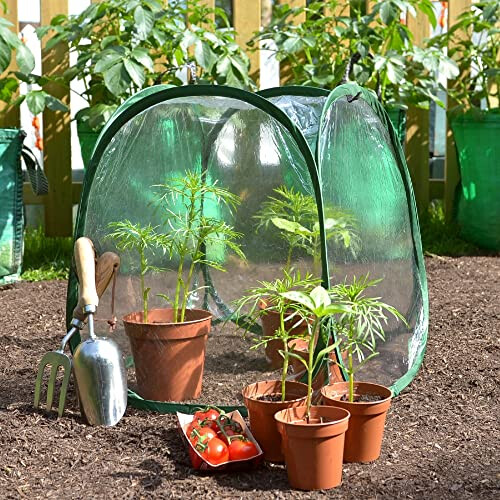 Mini Pop Up Poly Greenhouse Plant Cover | Garden Bell Cloche to Grow ...