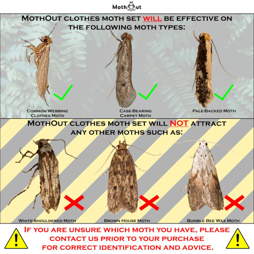 MothOut 5 Pheromone Clothes Moth Traps, Carpet Moth Trap + Lavender ...