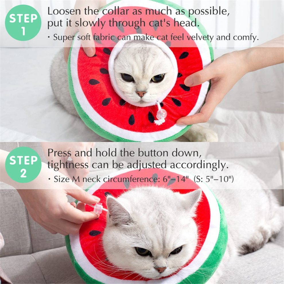 Collier cône réglable pour chat, doux et mignon, pour la convalescence ...