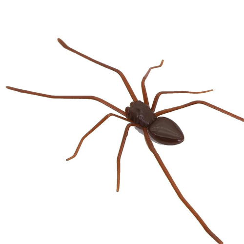 Spider Fridge Magnet, Realistic Magnets, Cute Spiders Design ...