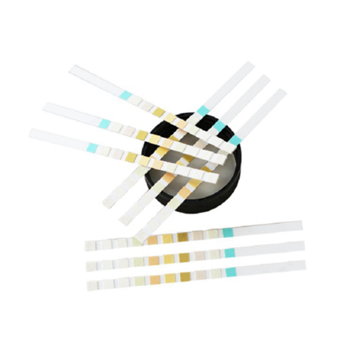 200 Strips URS-10T Urinalysis Reagent 10 Parameters Urine Test Strip on ...